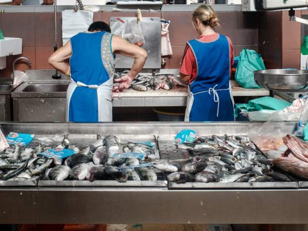 Freemaps - Albufeira Markets and Fairs